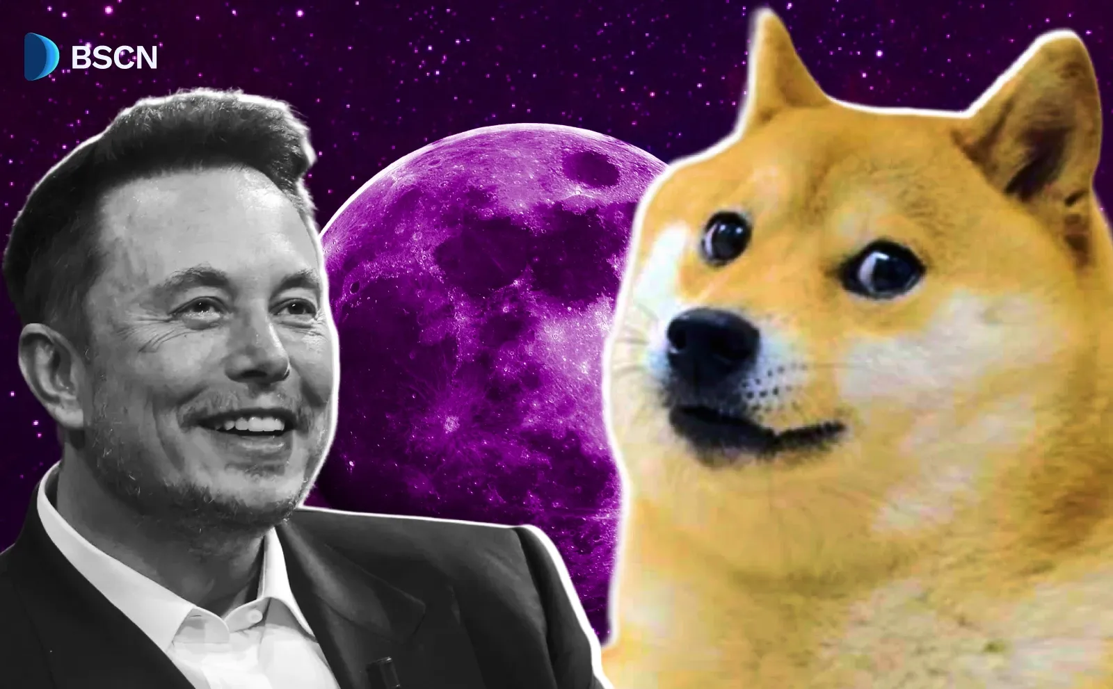 Dogecoin: From Meme to Mainstream Crypto Payment